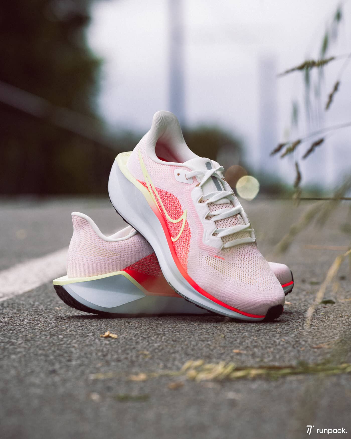 Quels sont les différents types de chaussures